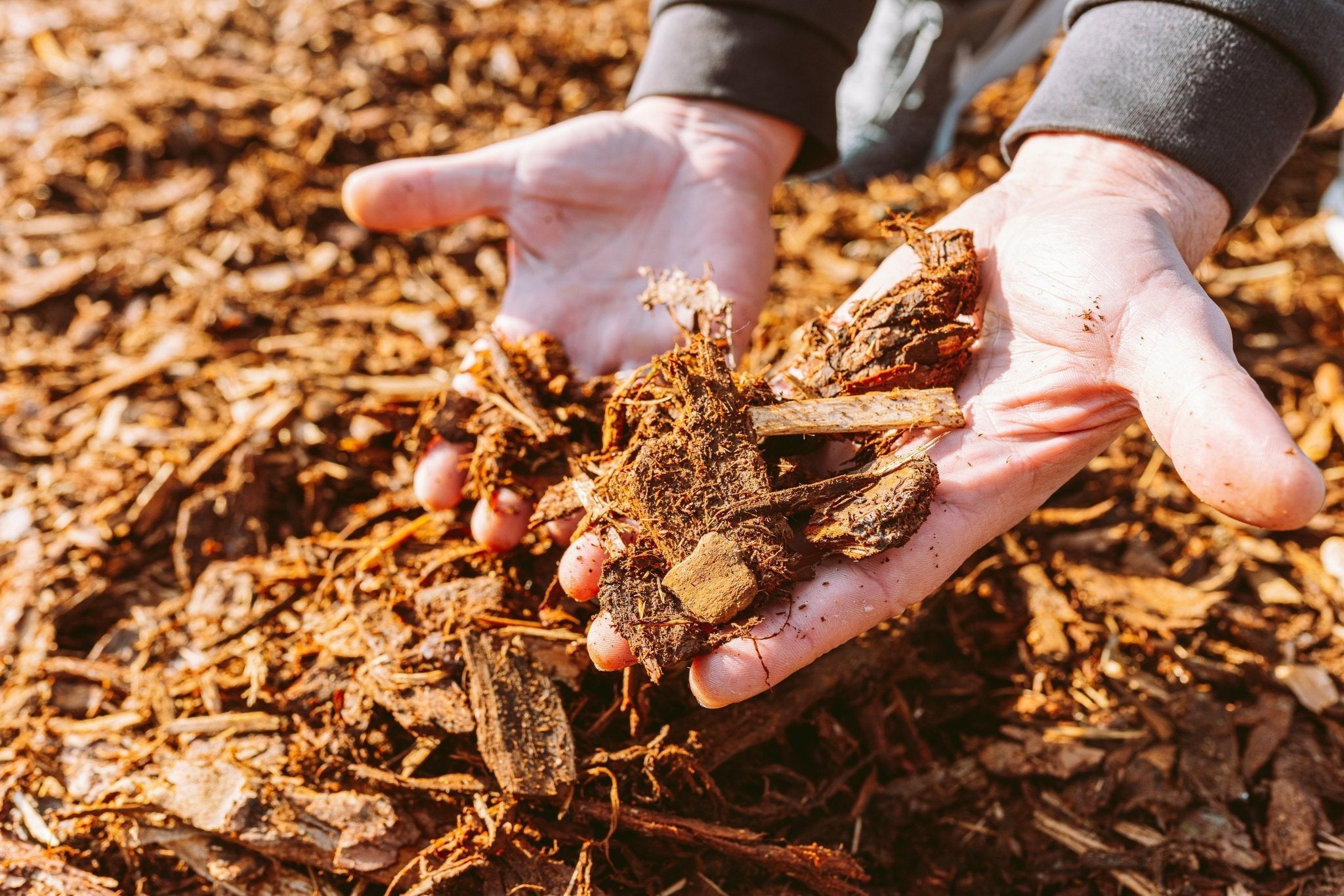 Bulk Landscape Supplies for Your Spring Project | Bulk Direct - Bulk ...