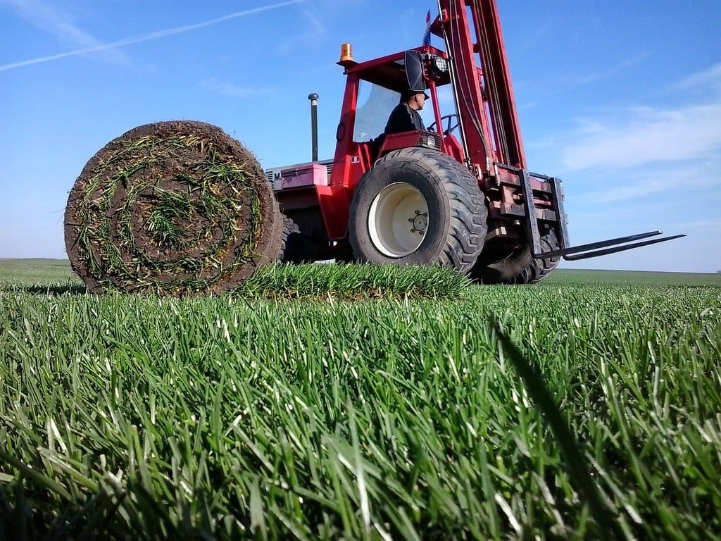 Kentucky Bluegrass Sod - Calgary Sod Supply - Sod Delivery